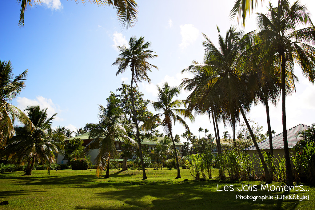 Paysages de rêve au Club Med Les Boucaniers de Sainte Anne Martinique ...